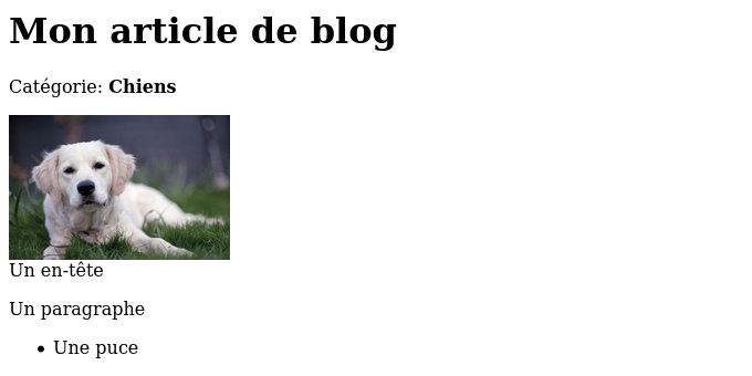 4. Translating Templates - Wagtail Localize